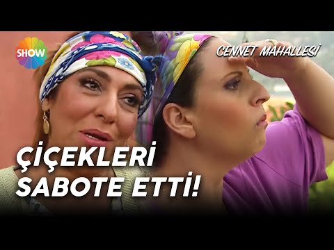 Cennet Mahallesi 89. Bölüm | Pembe, Menekşe'ye çiçek sattırmadı!