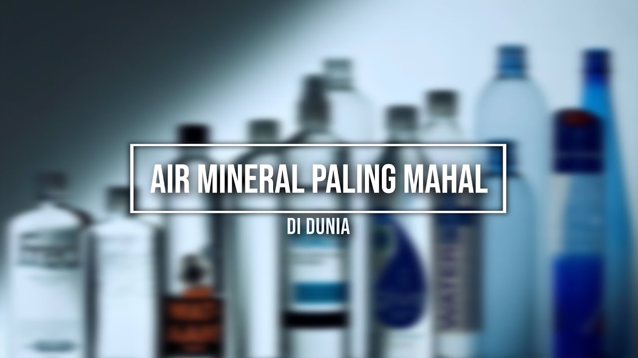 Air Paling mahal Di Dunia - YouTube