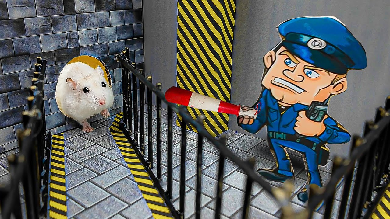 Hamster Sophie #58 🐹 Hamster Escapes From Police - YouTube