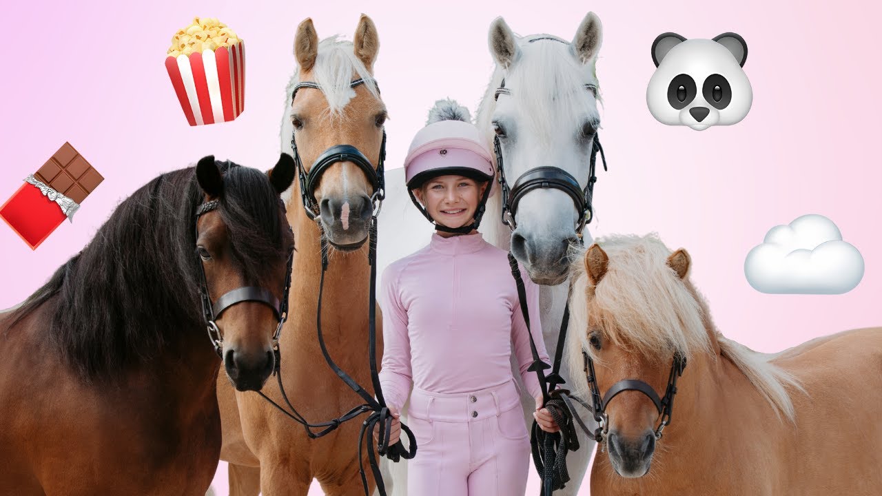 ALL ABOUT MY 4 PONIES - YouTube