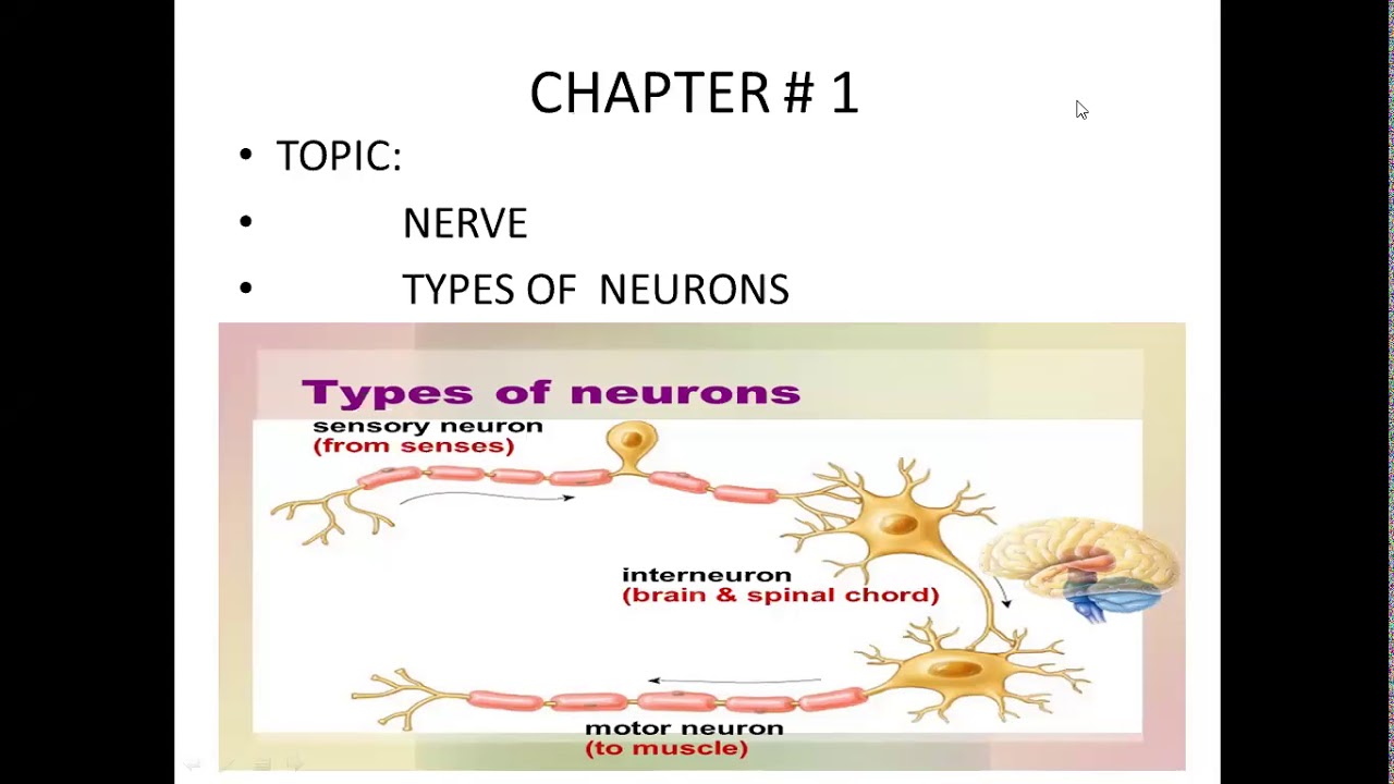 Online lectures of biology - YouTube