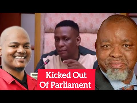 Sihle Lonzi EFF MP Kicked Out Of Parliament For Asking Right Questions ...