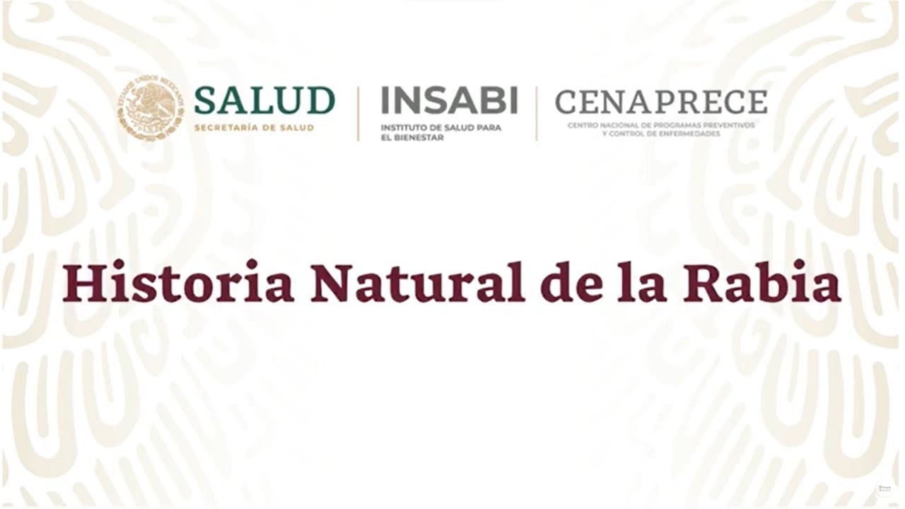 1. Historia natural de la Rabia - YouTube