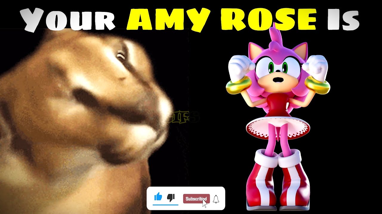 Floppa Becoming Canny AMY ROSE - YouTube