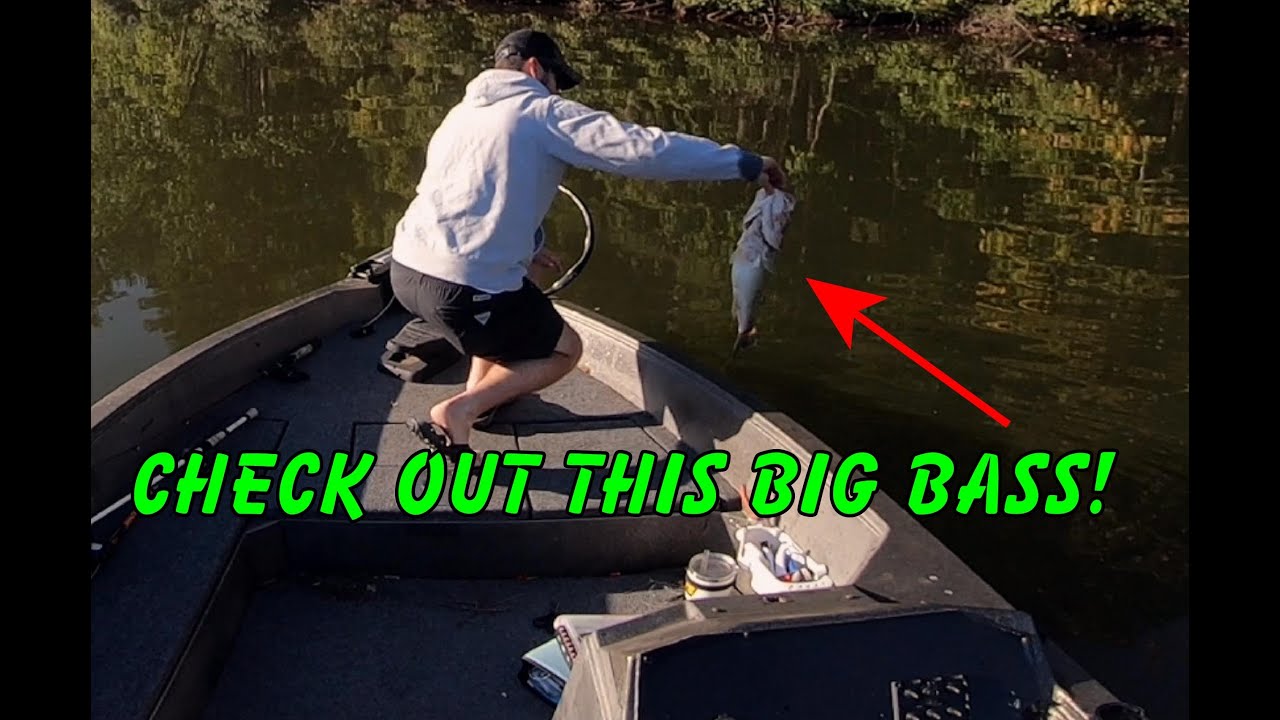I Found This Huge Dead Bass! - YouTube