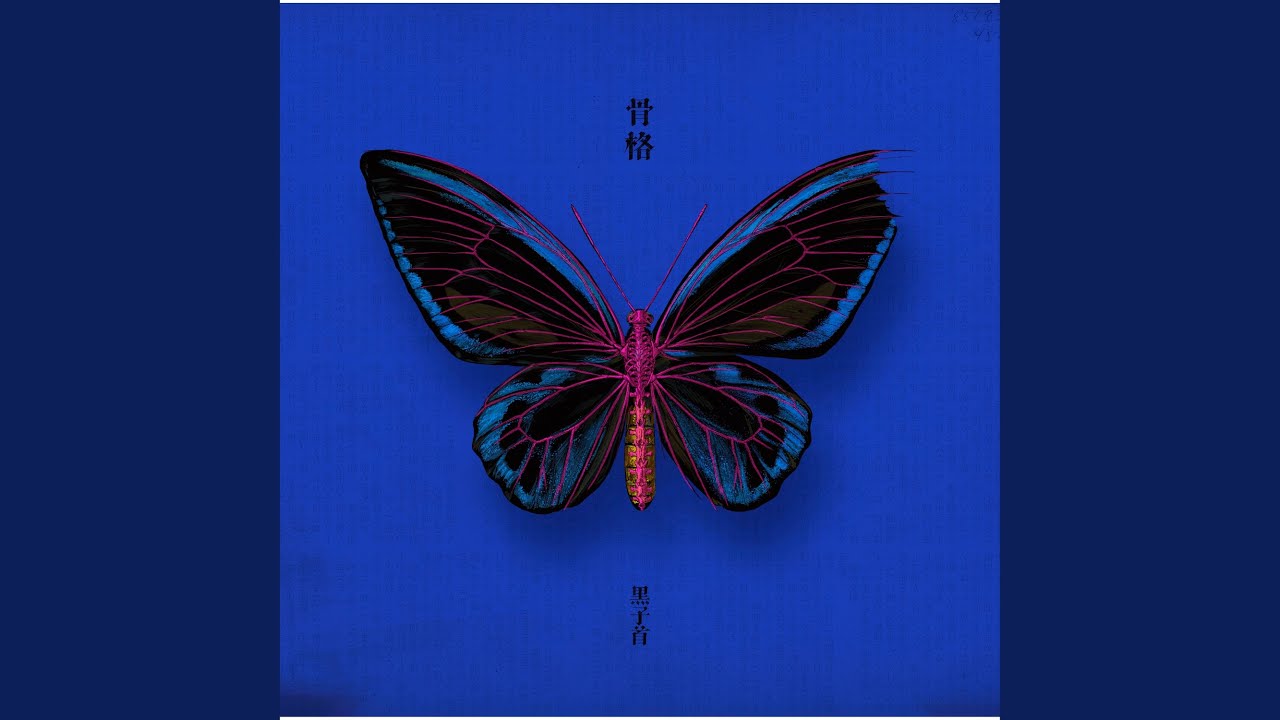 Team Codomo - YouTube