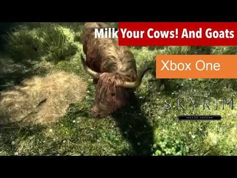 Skyrim SE Xbox One Mods|Milk Your Cows! And Goats Too - YouTube