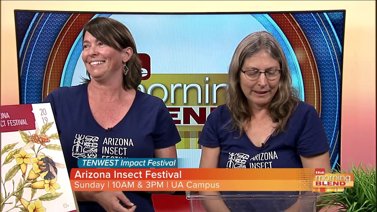 TENWEST Impact Festival: Arizona Insect Festival - YouTube