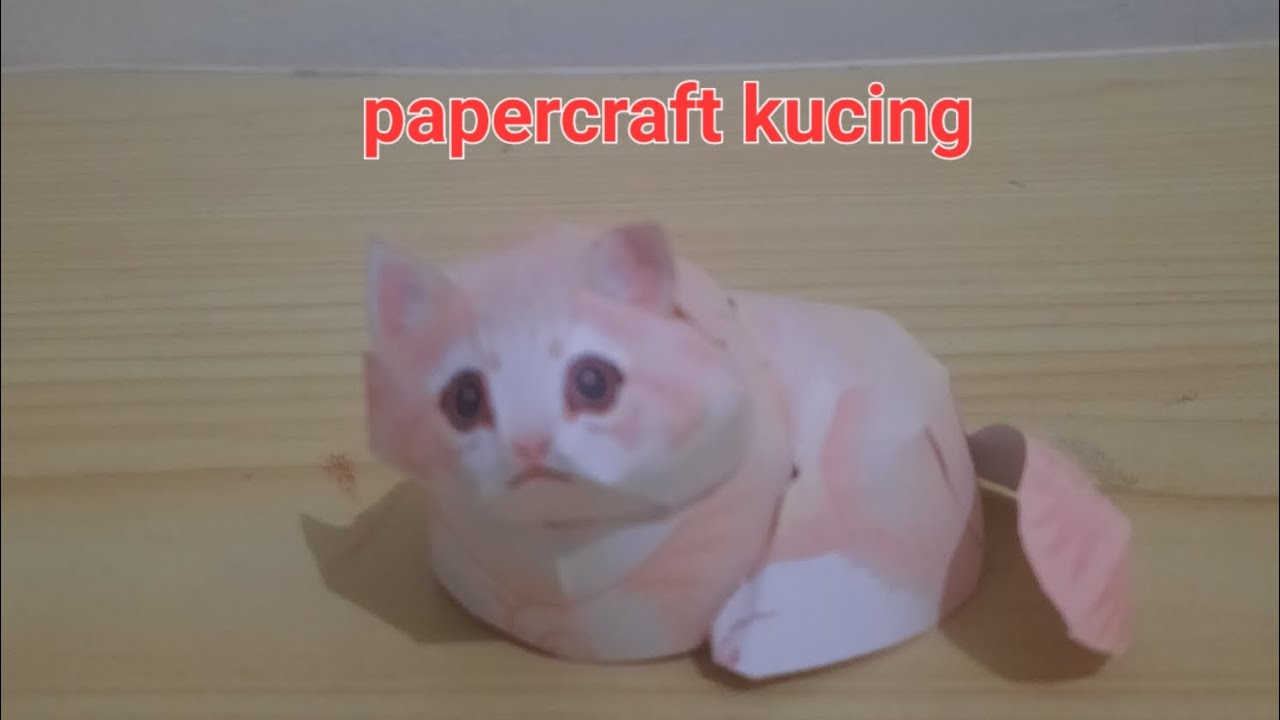 membuat papercraft kucing 🐱 - YouTube