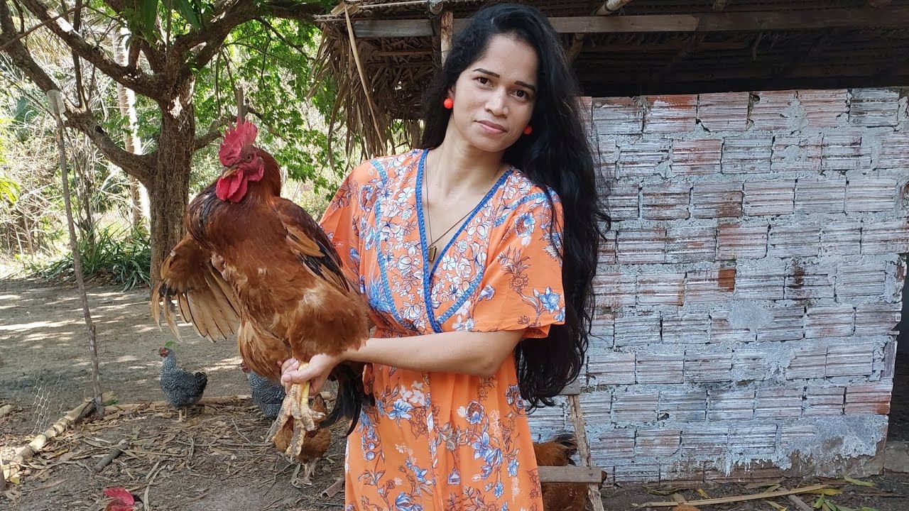 Abatendo frango caipira/ "From Farm to Table: Free-Range Chickens for ...
