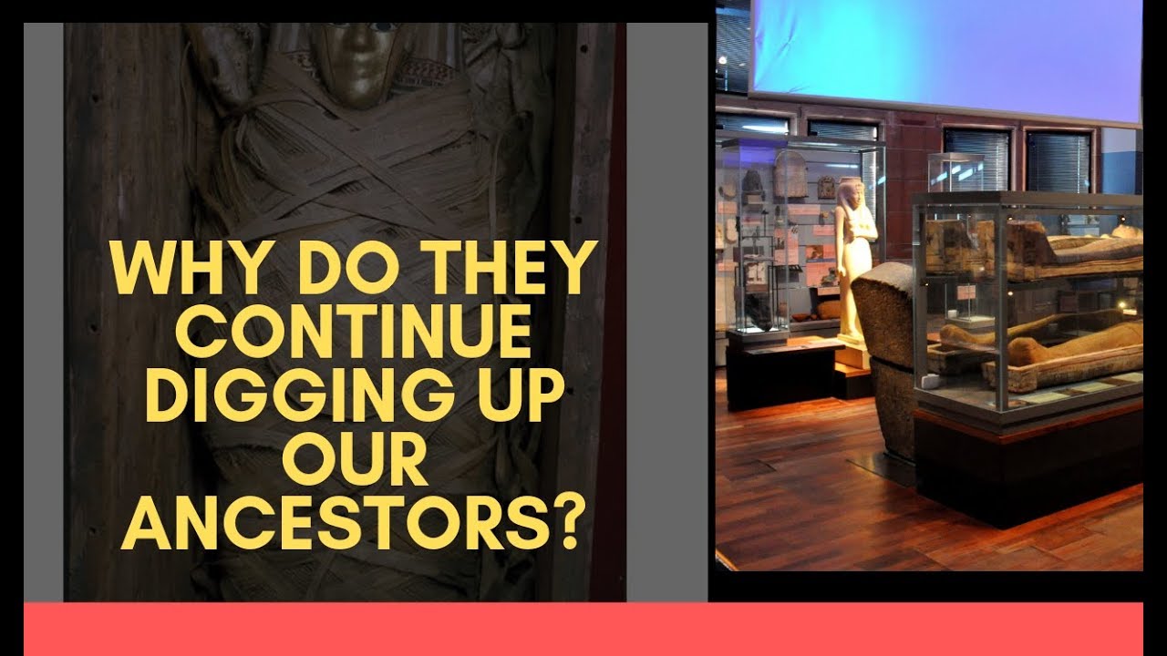 why do they continue digging up our ancestors? - YouTube