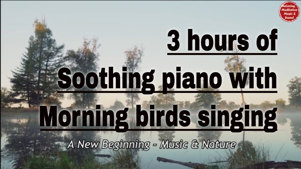 Soothing music with piano and bird singing for 3 hours, relaxation ...