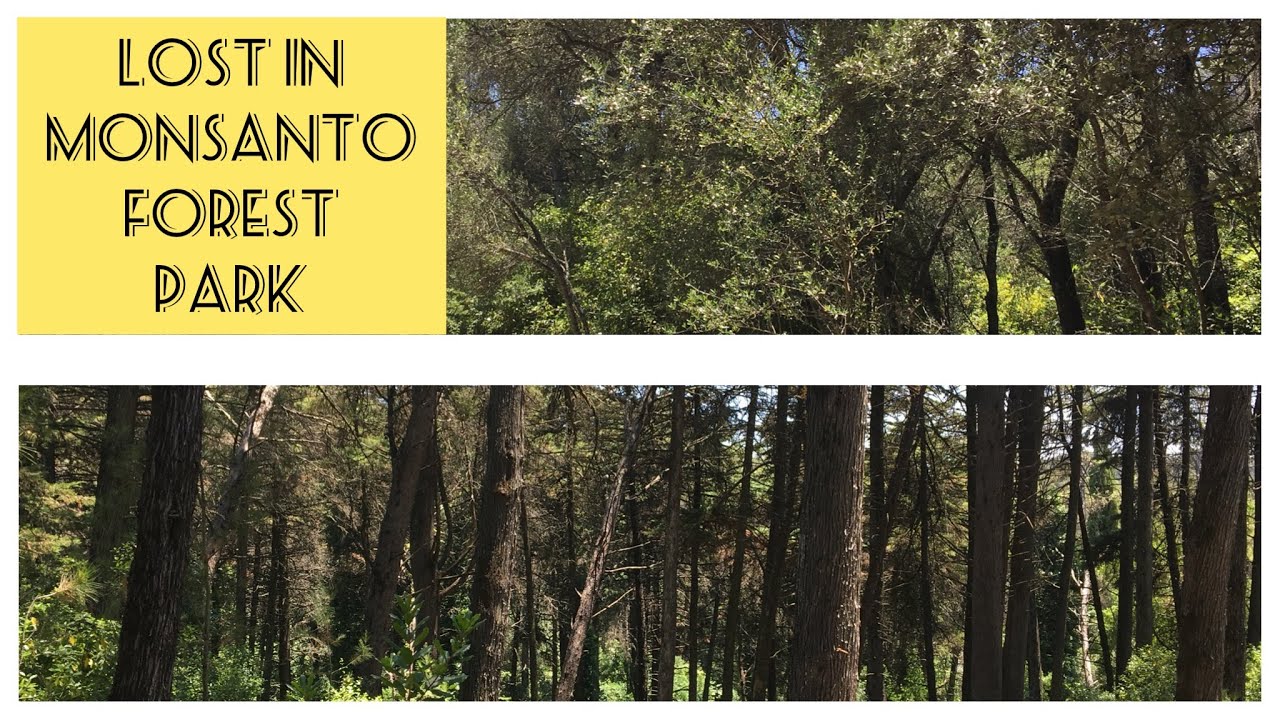 Lisbon, Lost in Monsanto Forest Park - YouTube