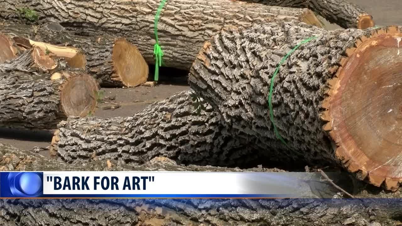 Turn trees into art projects for Bark for Art - YouTube