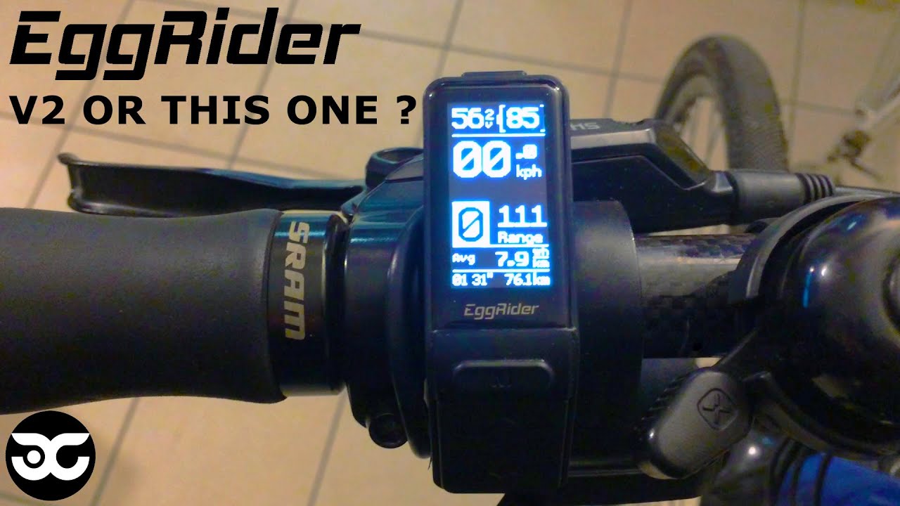 There's one thing you should know before buying an EggRider for your ...