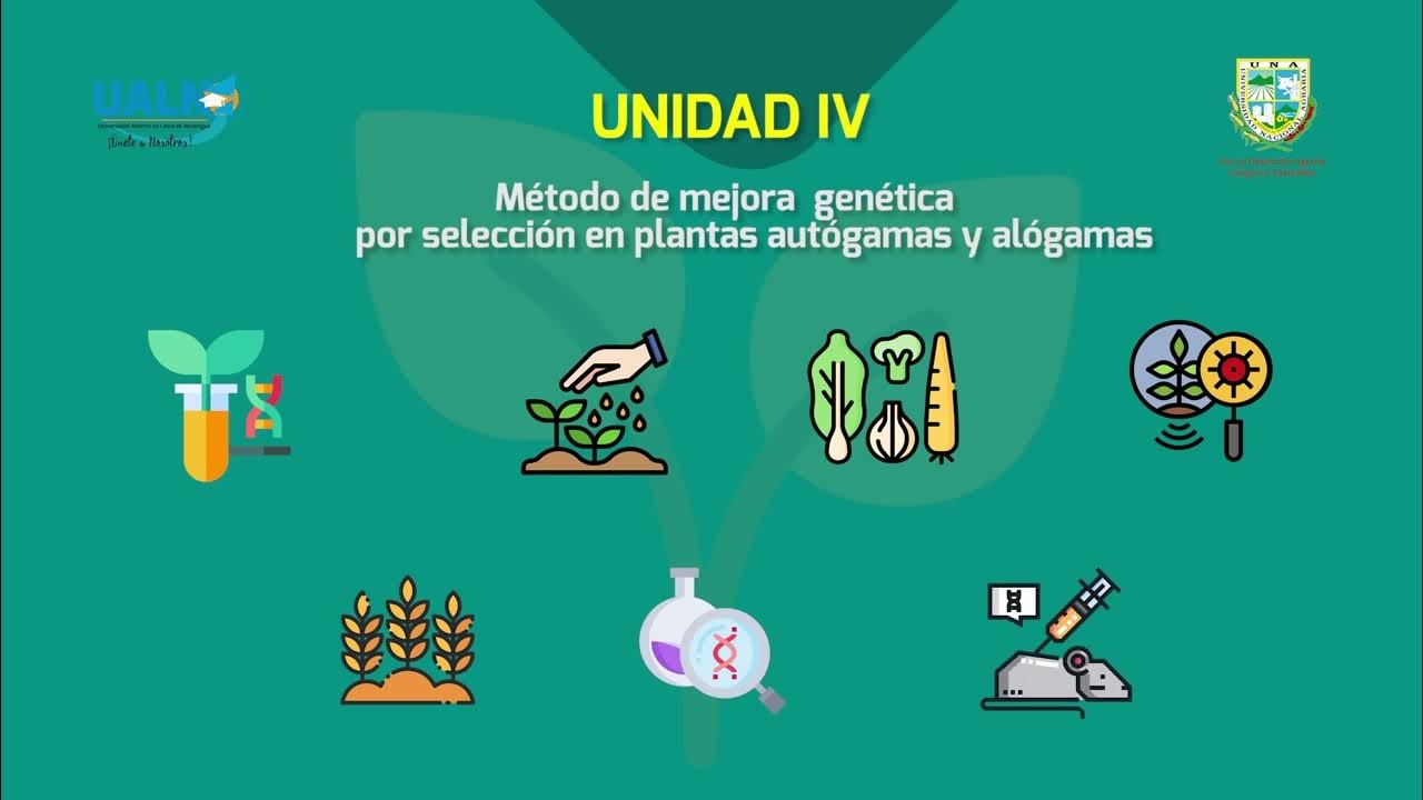 UNIDAD 4 MÉTODOS CONVENCIONALES DE MEJORAMIENTO GENÉTICO - YouTube