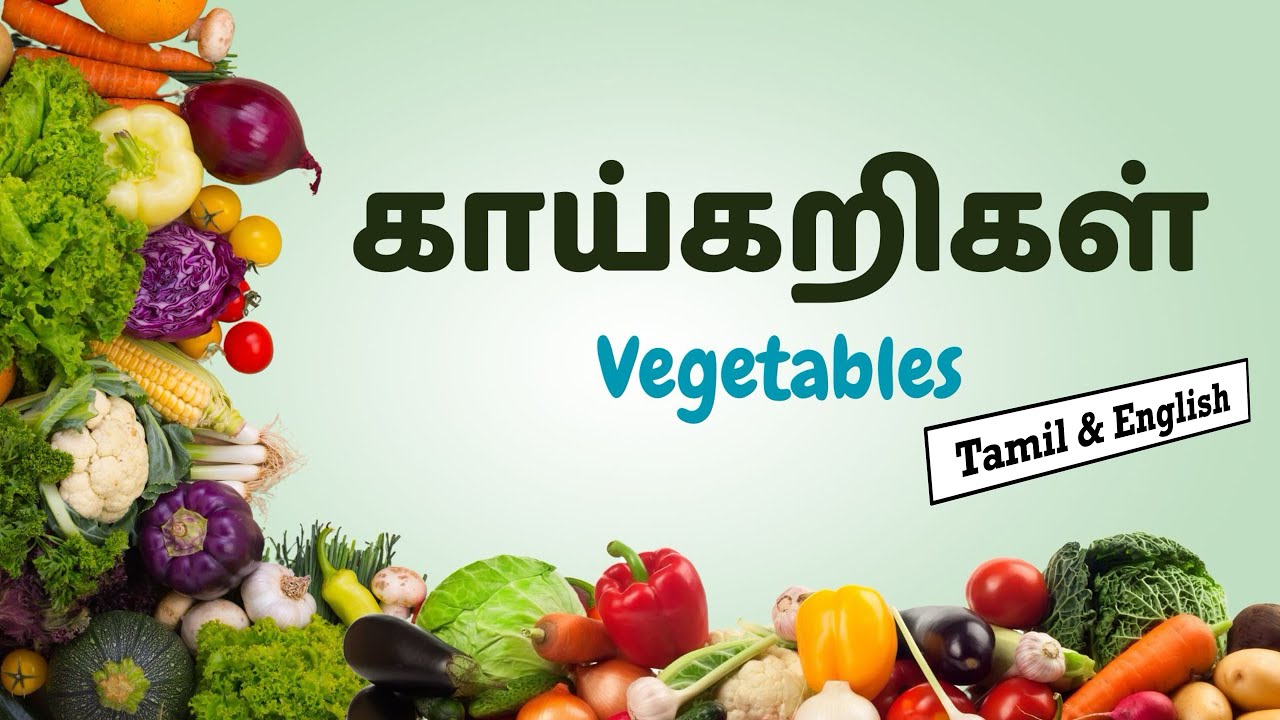 காய்கறிகள் (Kaikarikal)- Vegetables Name in Tamil & English - YouTube