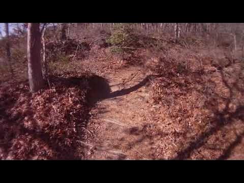 Otis near Falmouth Ma, bike path - YouTube