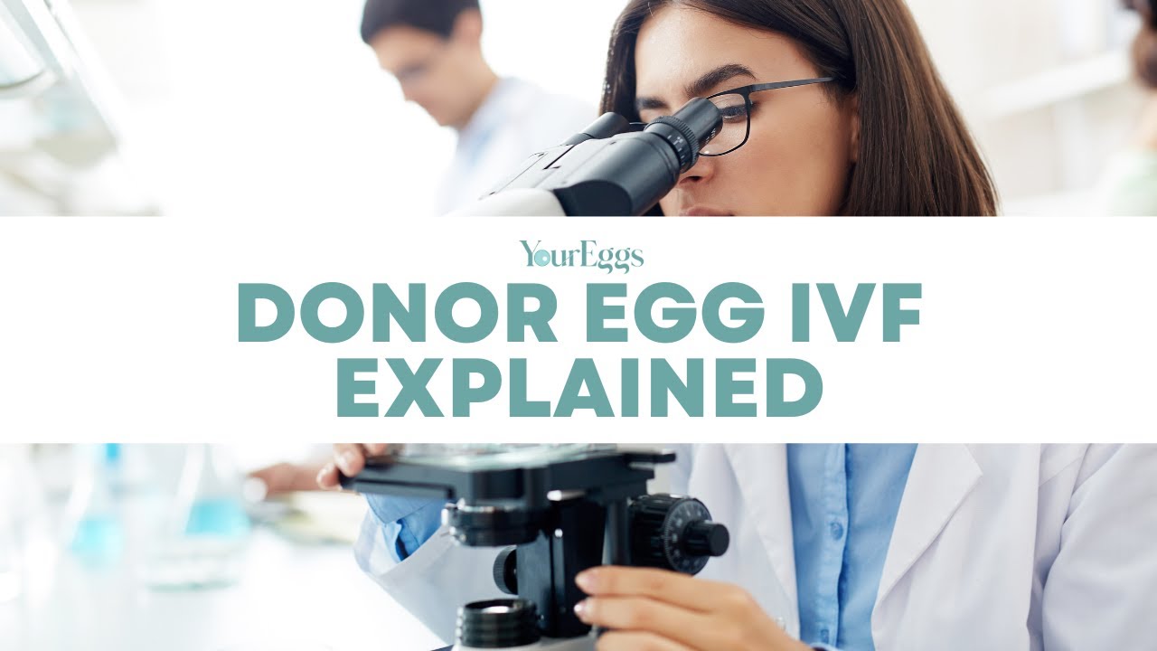 Donor Egg IVF Explained | YourEggs Egg Donation Agency in San Diego ...