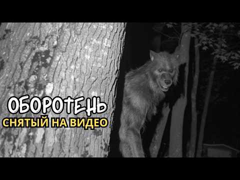 Жуткие Оборотни Снятые на Камеру | Terrifying Werewolves Caught on Camera