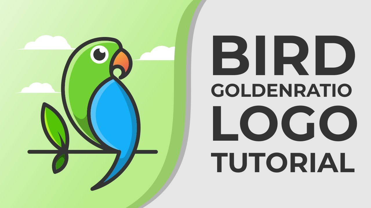 Bird Logo grid Tutorial (Coreldraw 2018) - YouTube