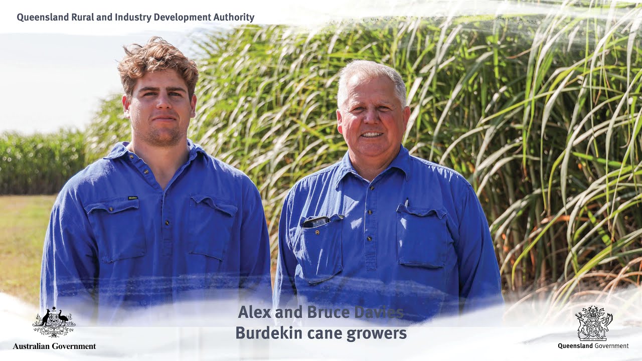 Replanting grant puts Burdekin cane crop back in ground post disaster ...