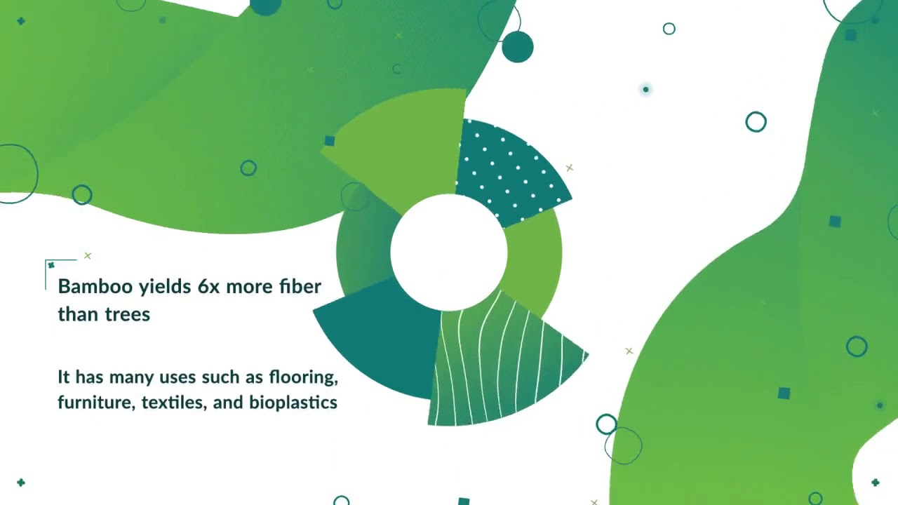 Resource Fiber Bamboo Carbon Market - YouTube