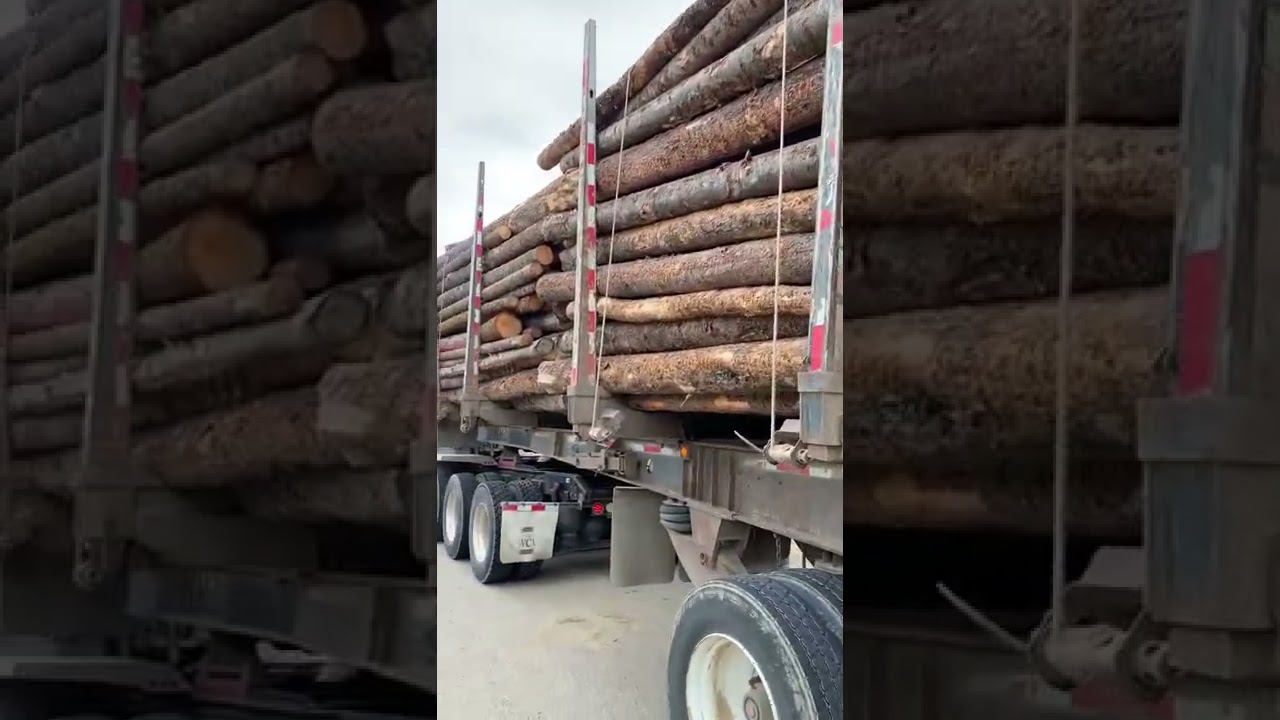 Log truck! #logging #trucker - YouTube