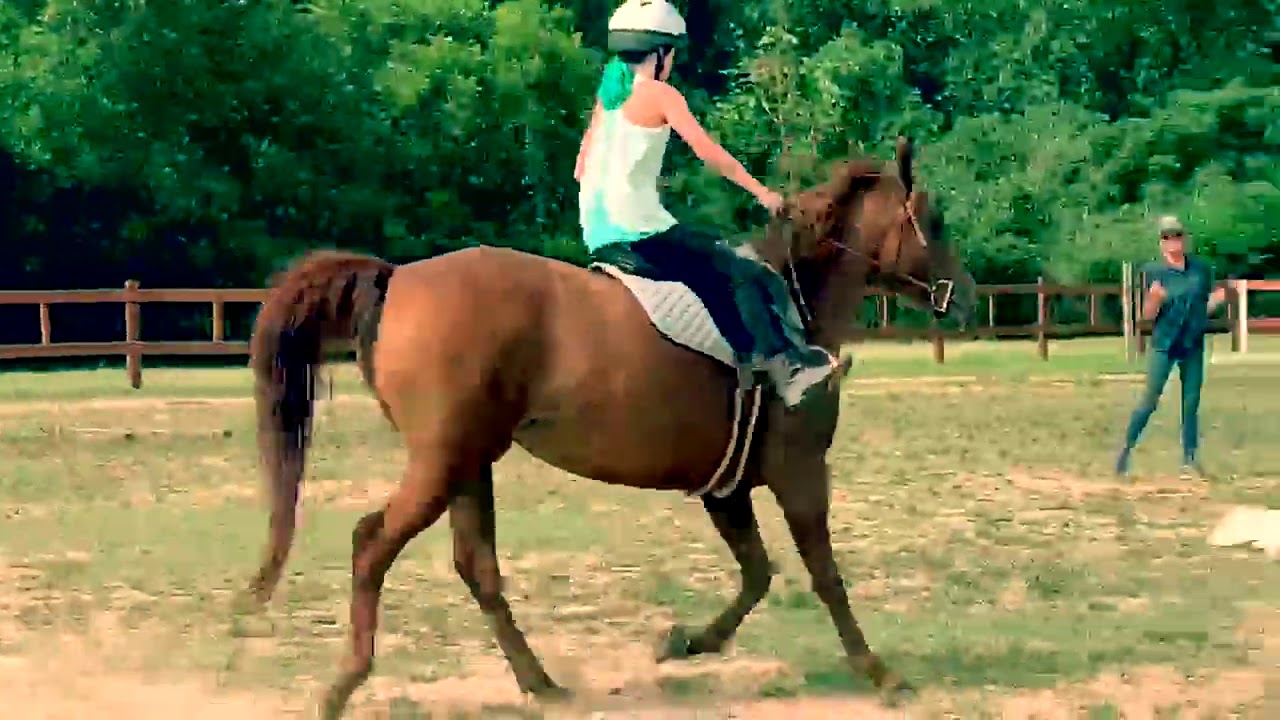 Me And Dawn Cantering - YouTube