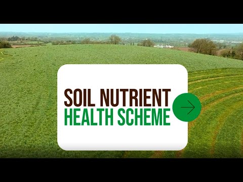 SNHS - Overview - YouTube