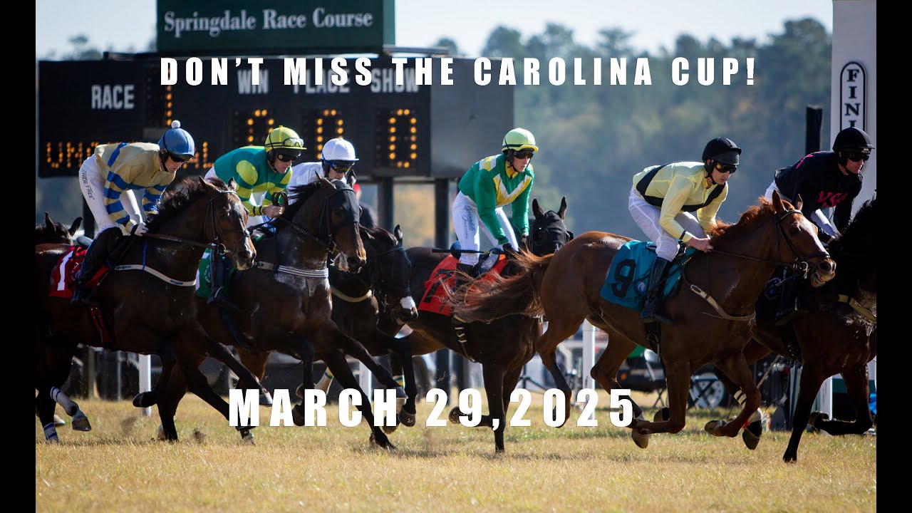 Explore the Fascinating History of Steeplechase Horse Racing at the ...