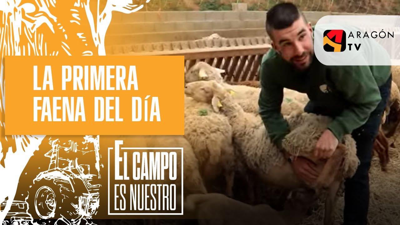 La primera faena del día - YouTube