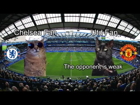 CAT MEMES Chelsea vs Man United - YouTube