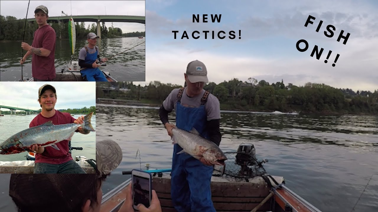 Springer Fishing May 5, 2018 Willamette River - YouTube