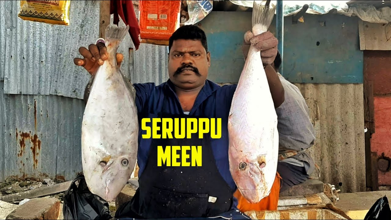 speed selvam♤seruppu meen♤leatherjacketfish ♤ cuttingvideo #kasimedu ...