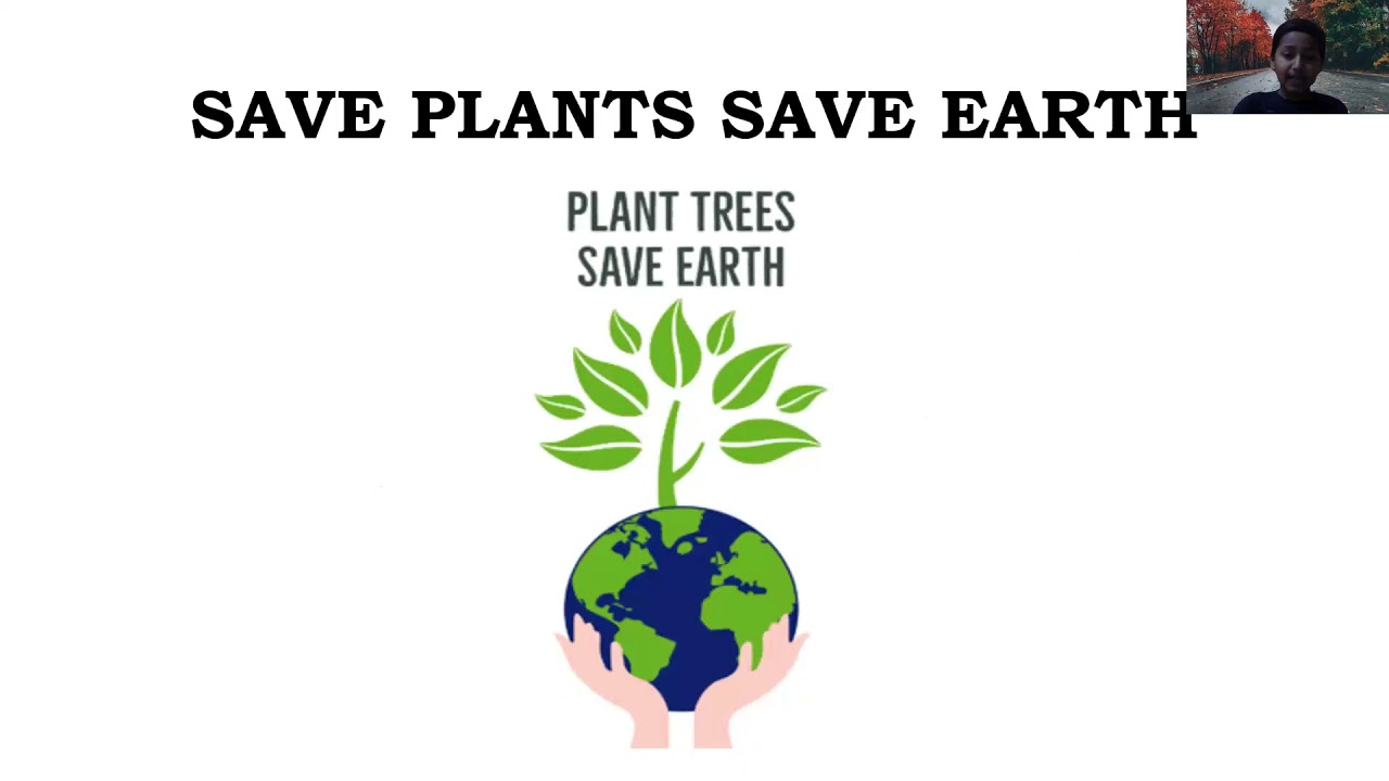 SAVE PLANTS AND BENEFIS OF PLANTS - YouTube