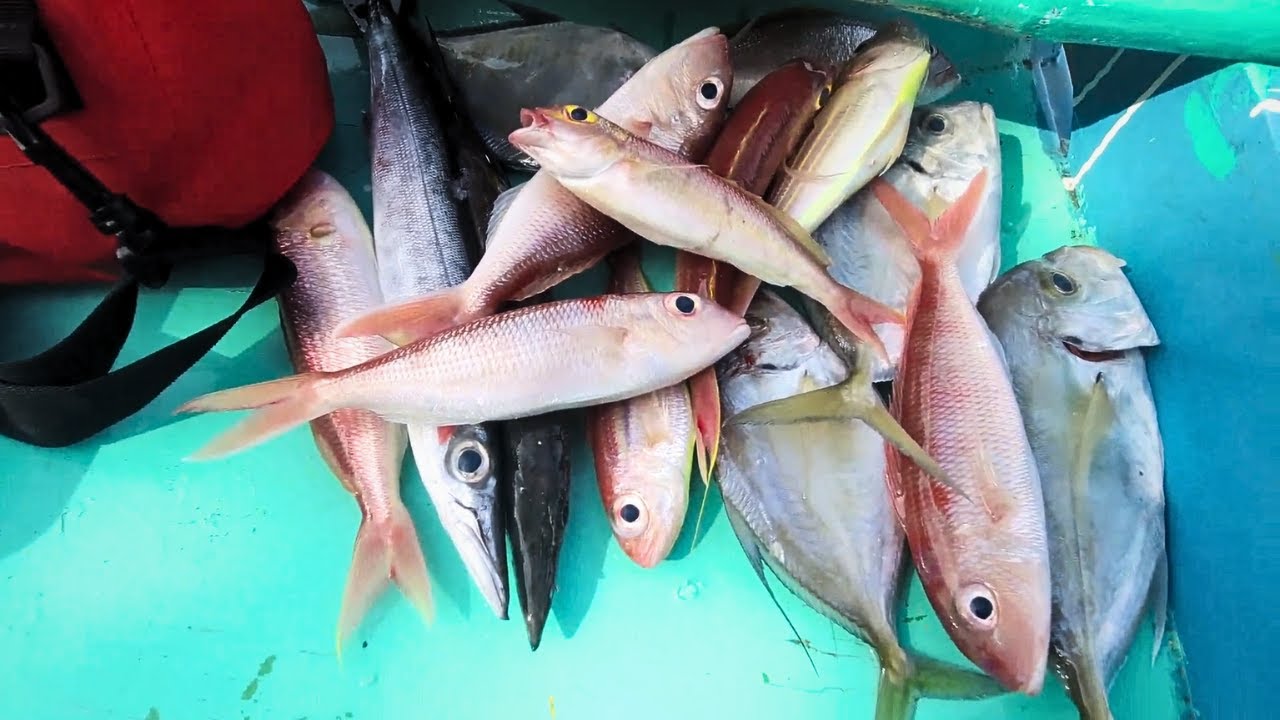 ISDA, ISDA, ISDA, MAGPAHULI KAYO SAKIN! | BUHAY PROBINSYA | MABINI, BOHOL - YouTube
