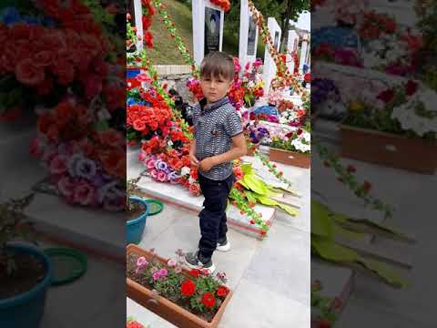 Daşkəsən royon ŞƏHİDLƏR xiyabanında ürəkləri parçalayan💔 Anaların ah-naləsi.