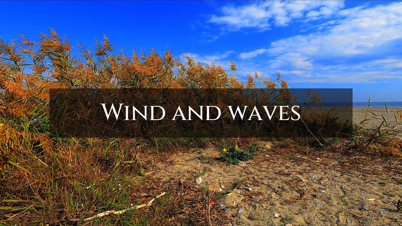 Wind and Waves-Nature White Noise,Ocean sound,Wind sound - YouTube