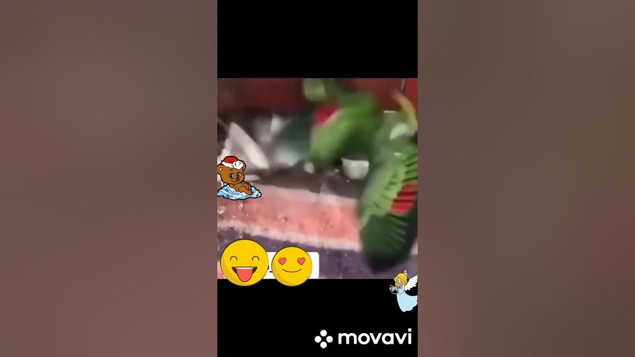 Не суй свой нос в чужие дела😅😅😅 Youtube