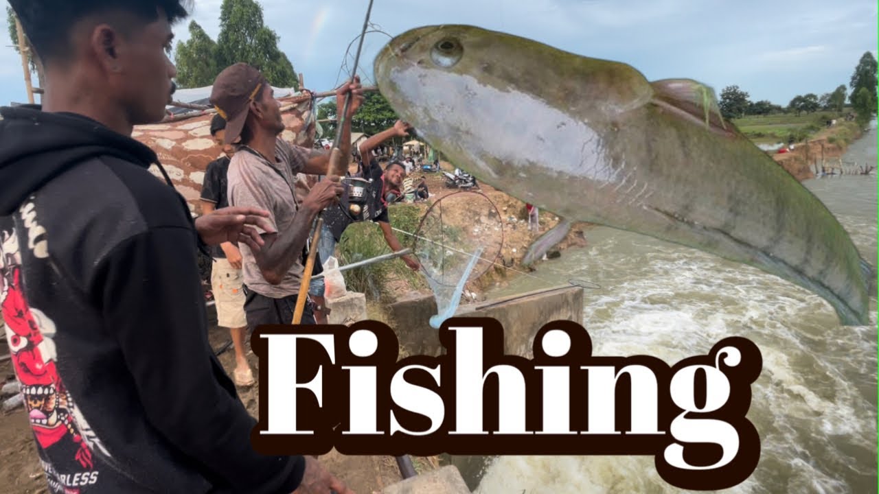 BIG FISH FISHING ON WATER FLOW: This Guy Gets Incredible Fish #fishing ...