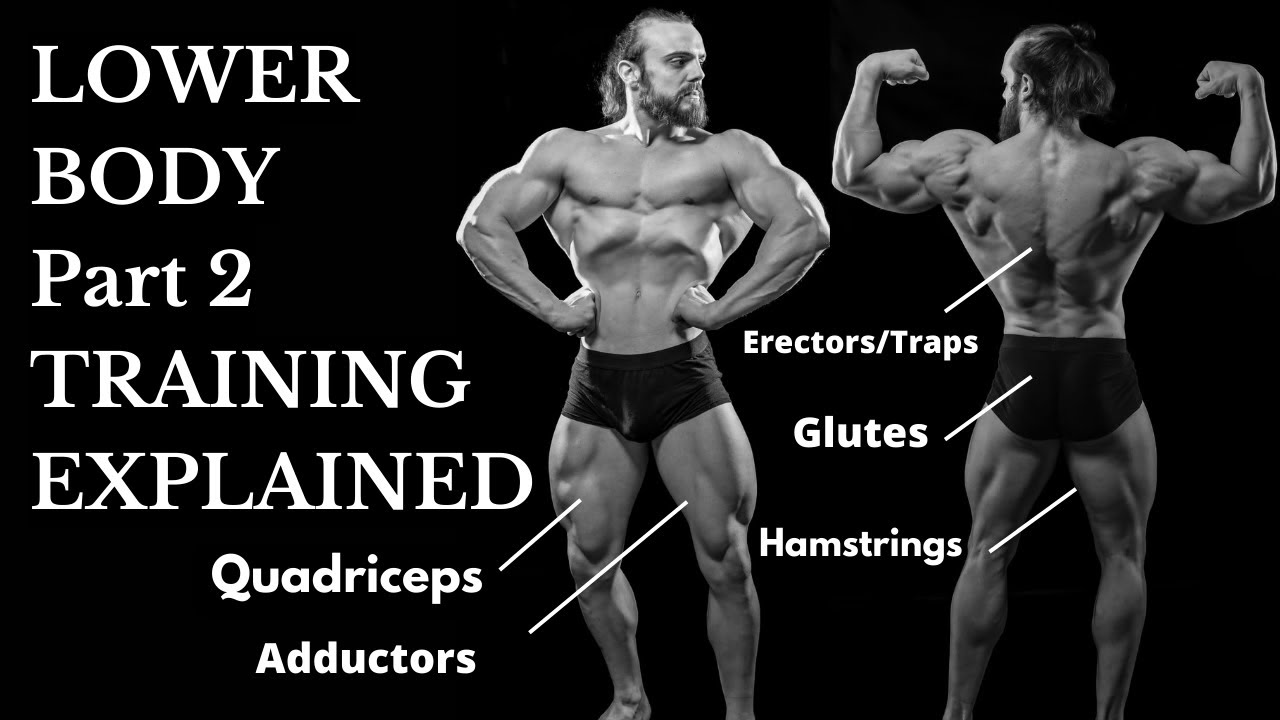 FULL LOWER BODY TRAINING Part. 2 (Posterior chain focus, isolation work ...