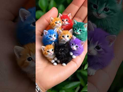 Parmak Kadar Minik ve Rengarenk Yavru Kediler! 🐾 Sevimlilik Dolu En Tatlı Anlar!