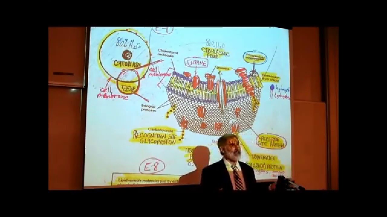 ANATOMY; REVIEW OF CYTOLOGY; PART 2 by Professor Fink - YouTube
