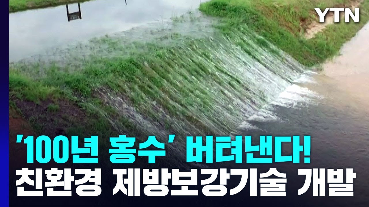 '100년 홍수' 버텨낸다!...가공할 내구성의 친환경 제방 보강 / YTN - YouTube