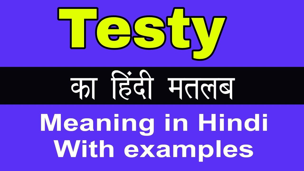Testy Meaning in Hindi/Testy ka Matlab kya Hota hai - YouTube