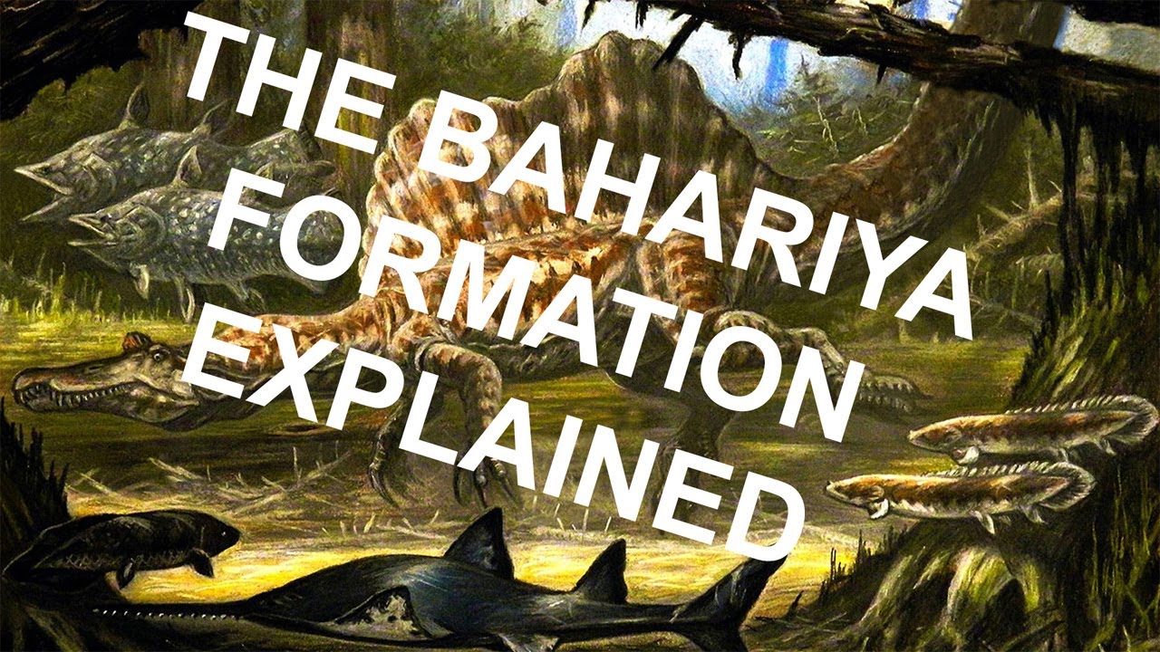 The Bahariya Formation Explained - YouTube
