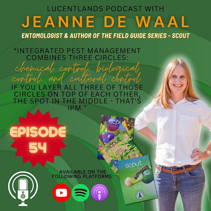 NEW PODCAST OUT NOW🎬 featuring Jeanne de Waal - entomologist and author ...
