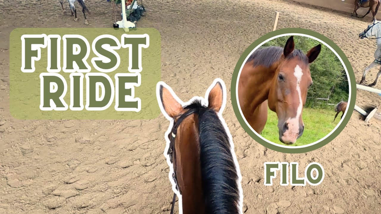 FIRST RIDE ON A NEW HORSE | GOPRO RIDE WITH ME - YouTube