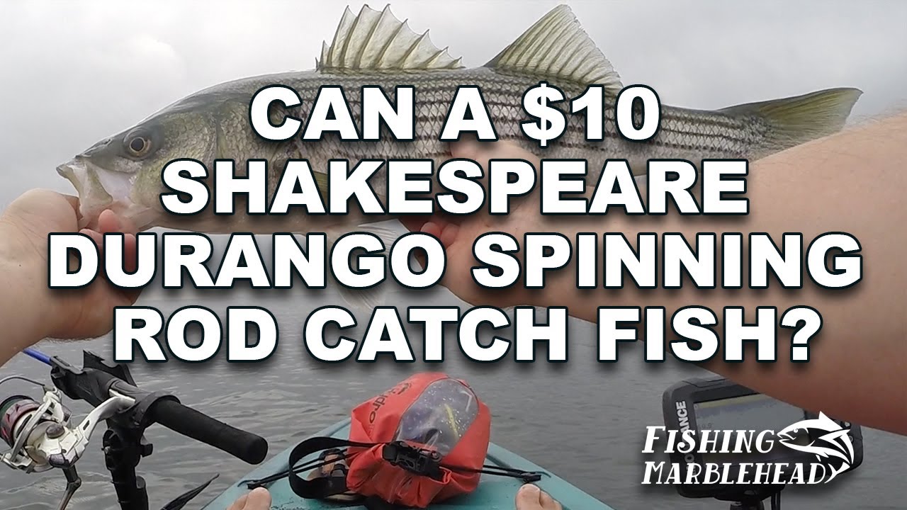 Can a $10 Shakespeare Durango Spinning Rod Catch Fish? | Episode 9 ...